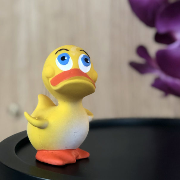 Rubber Ducky - BEST WESTERN De Anza Inn